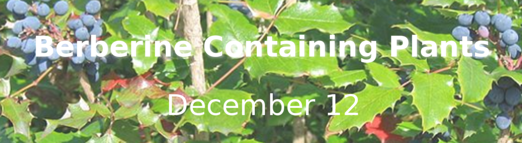[WEBINAR] Berberine Containing Plants – The Natural Nurse