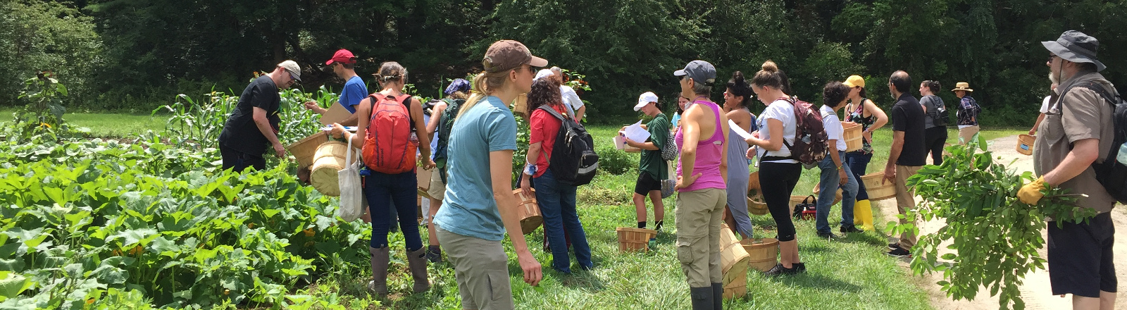 2021 Autumn Wild Edible & Herb Identification Walk at Restoration Farm ...