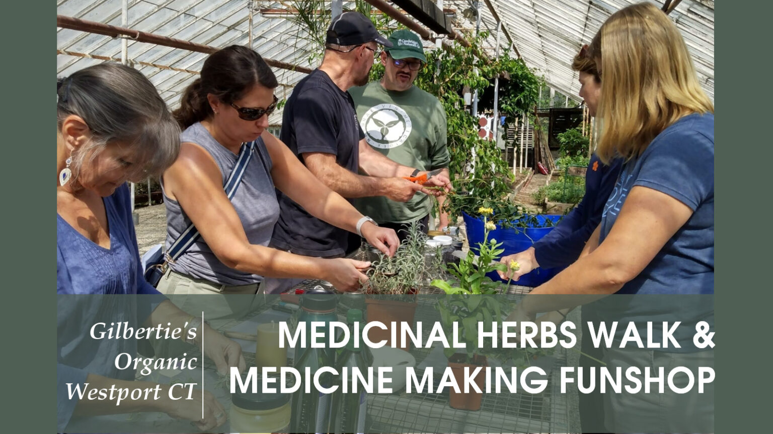 Herb Walk and Medicine Making Funshop at Gilbertie’s Farm, CT 2024 ...